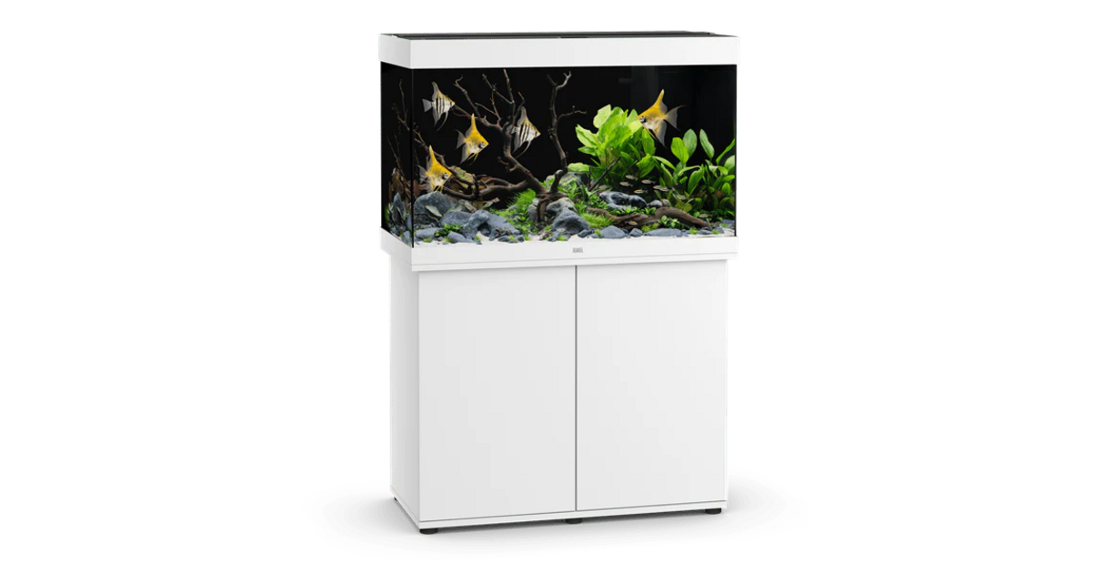 JUWEL Combinaison Rio 290 LED Blanc aquarium 101 x 51 x 66 cm 290 L avec meuble SBX assorti ...